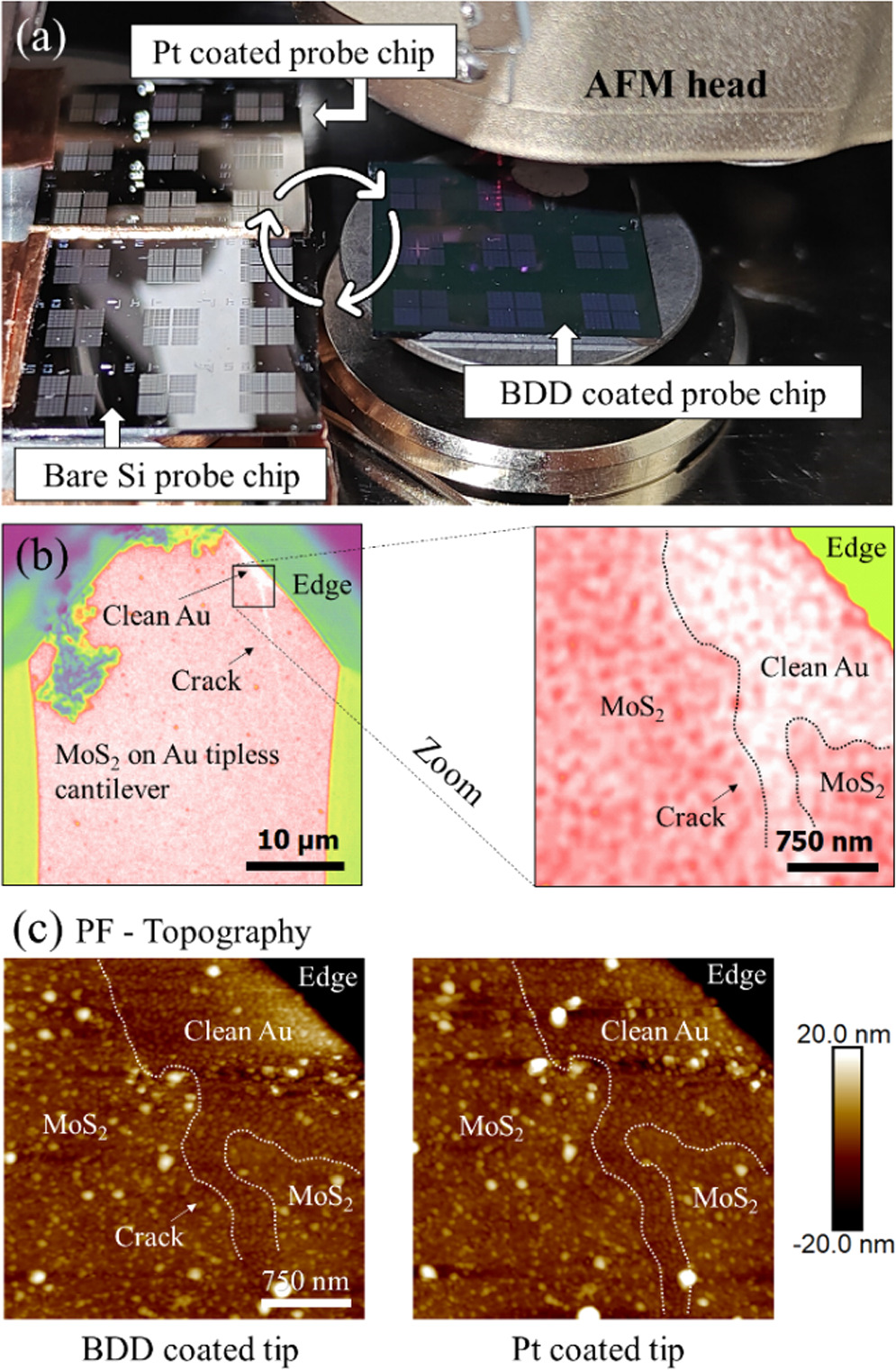Probe chip nanofabrication enabled reverse tip sample scanning probe ...
