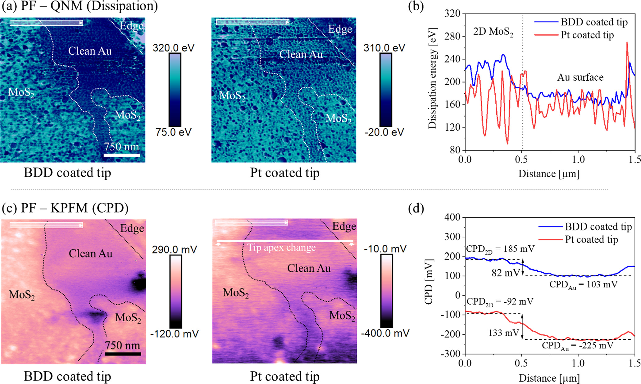 Probe chip nanofabrication enabled reverse tip sample scanning probe ...
