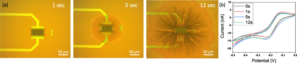 Electrochemical synthesis of 2D-silver nanodendrites functionalized ...