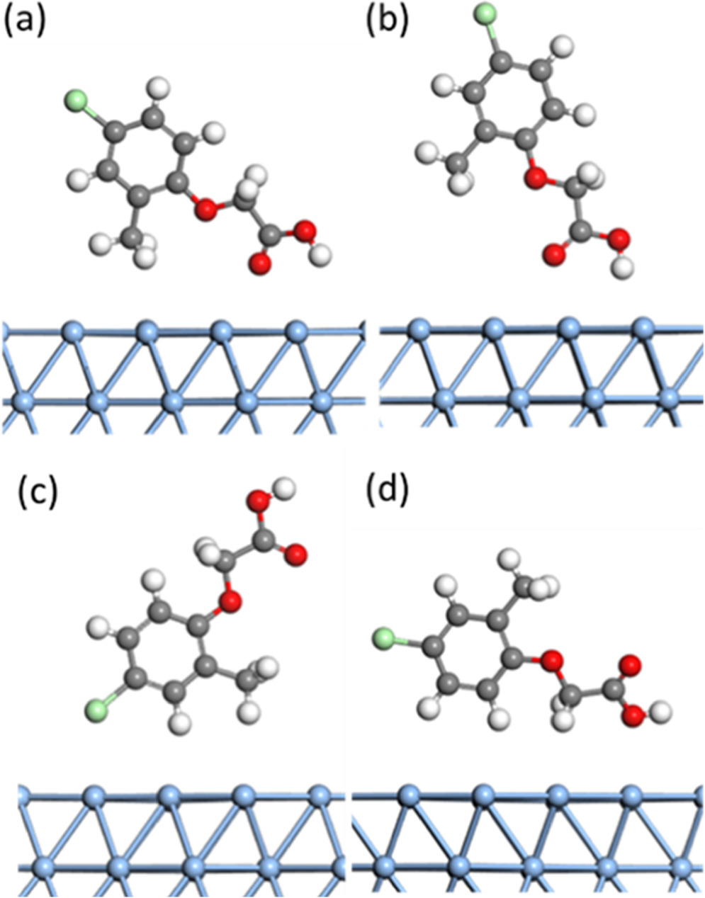 Electrochemical synthesis of 2D-silver nanodendrites functionalized ...