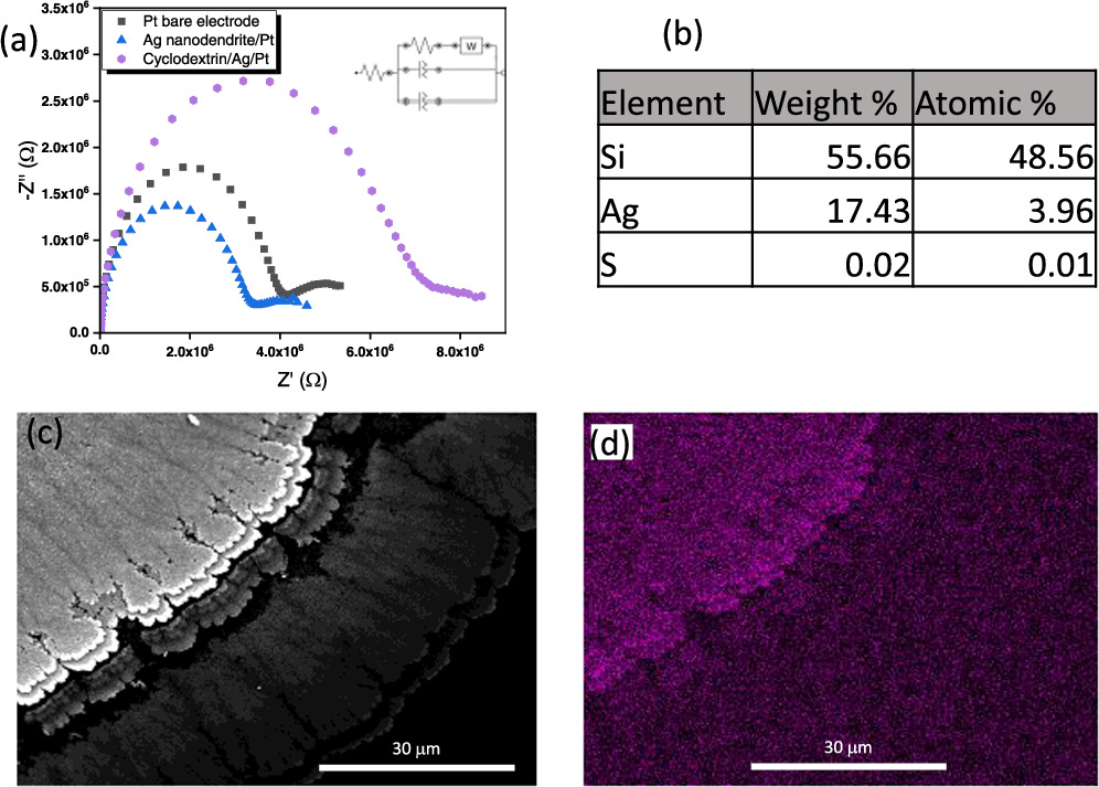 Electrochemical synthesis of 2D-silver nanodendrites functionalized ...