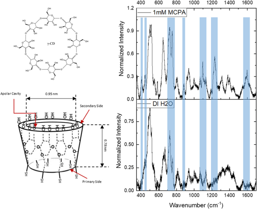 Electrochemical synthesis of 2D-silver nanodendrites functionalized ...
