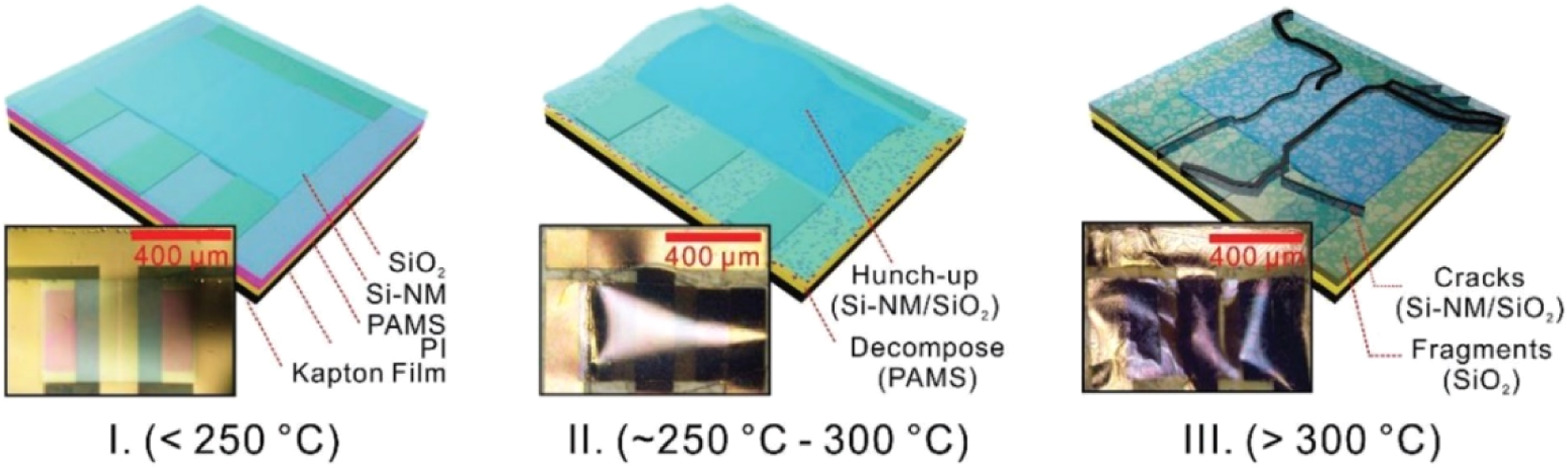 Silicon-based transient electronics: principles, devices and ...