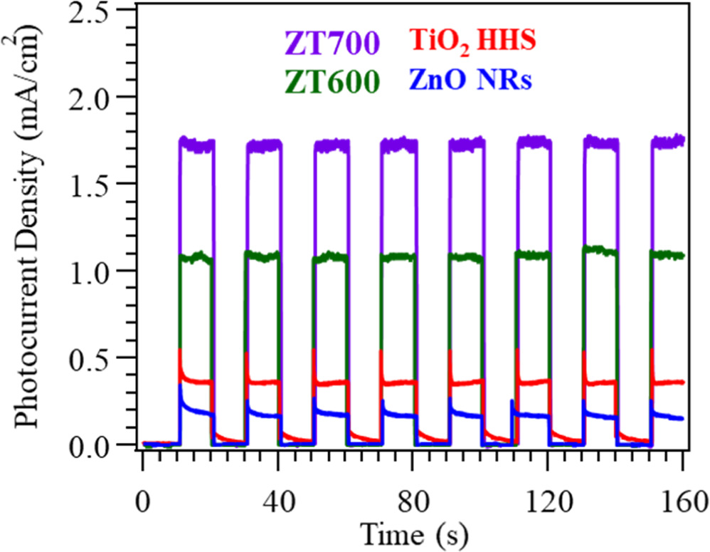 Enhanced photoelectrochemical water splitting by a 3D hierarchical sea urchin-like structure ...