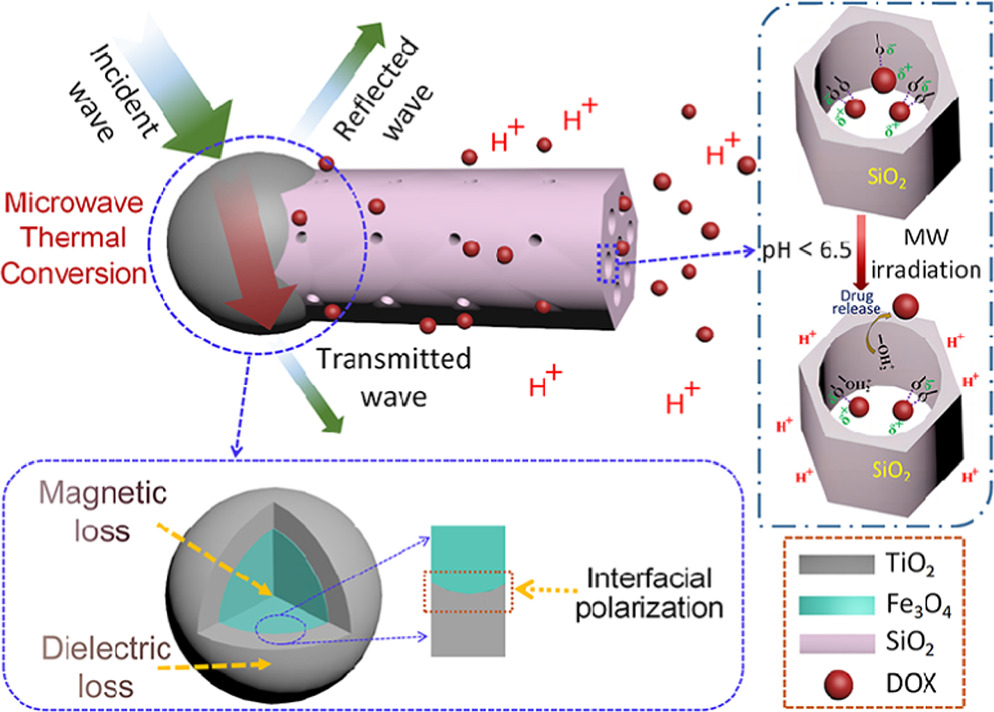Magnetic targeting and pH-microwave dual responsive Janus mesoporous ...