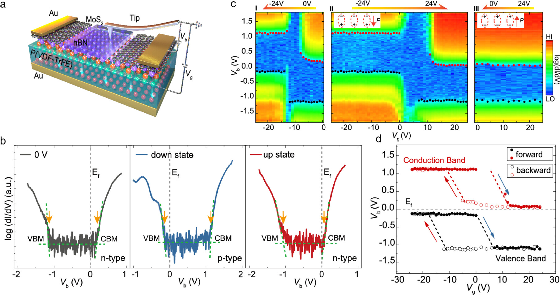 2D materials-based photodetectors combined with ferroelectrics - IOPscience