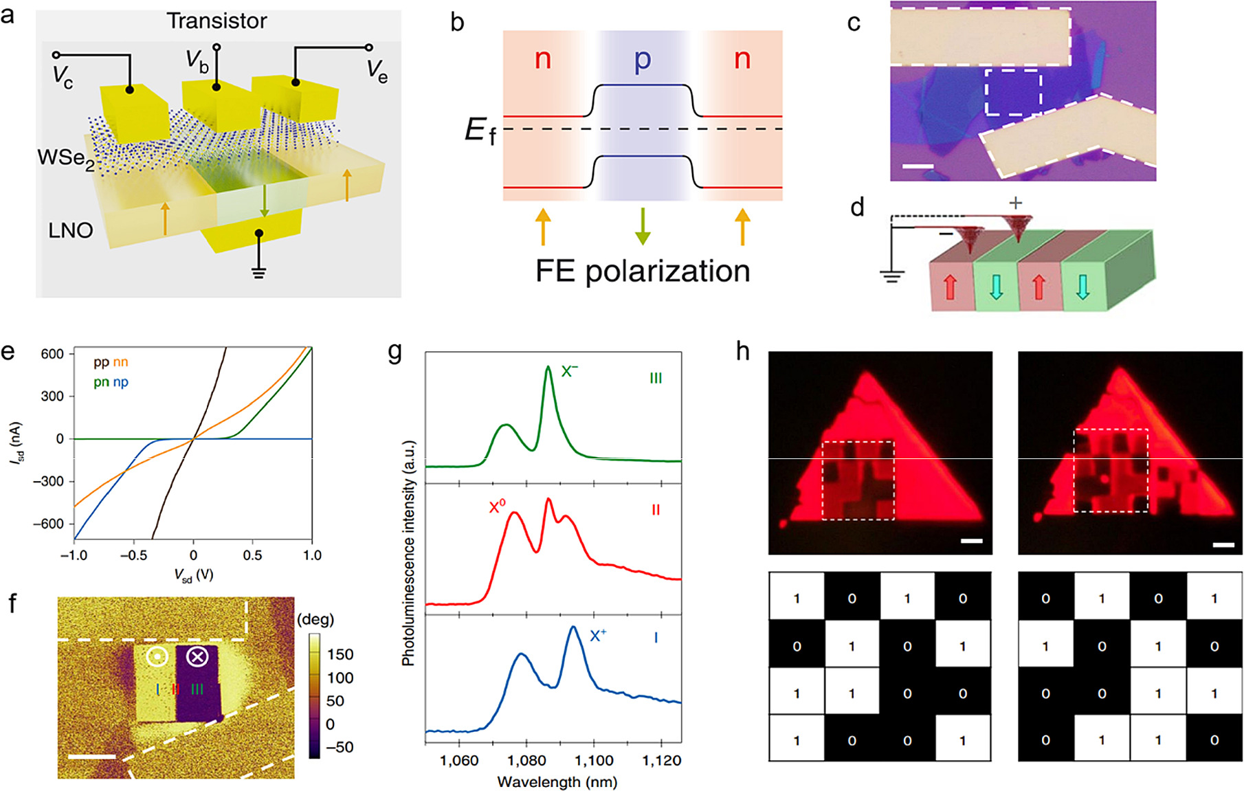 2D materials-based photodetectors combined with ferroelectrics - IOPscience
