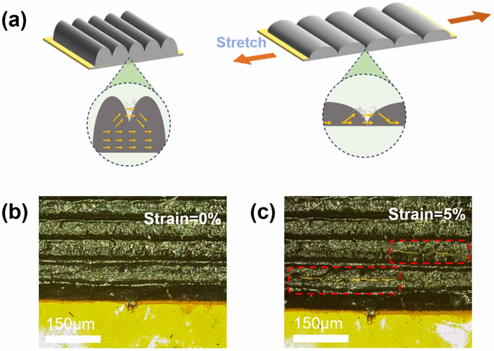 A high-performance, sensitive, low-cost LIG/PDMS strain sensor for ...