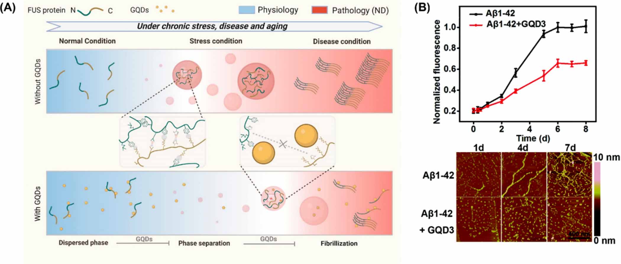 A review on synthesis, properties, and biomedical applications of ...