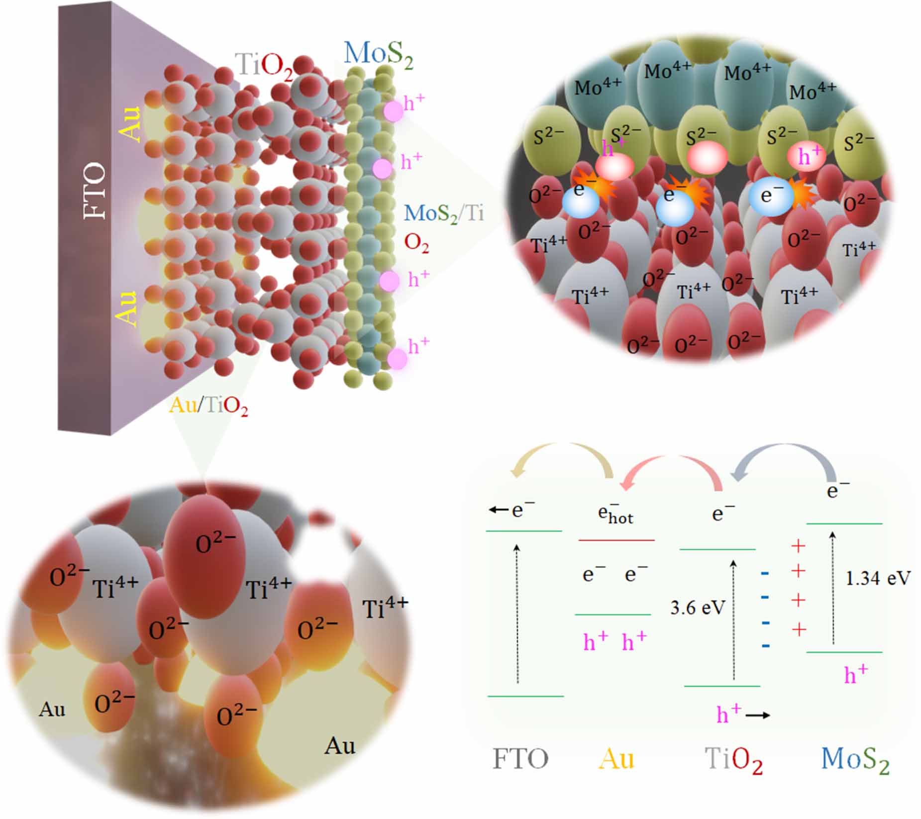 Efficient photoanode with a MoS2/TiO2/Au nanoparticle heterostructure ...
