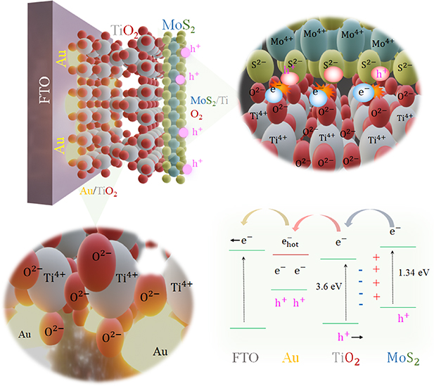 Efficient photoanode with a MoS2/TiO2/Au nanoparticle heterostructure ...