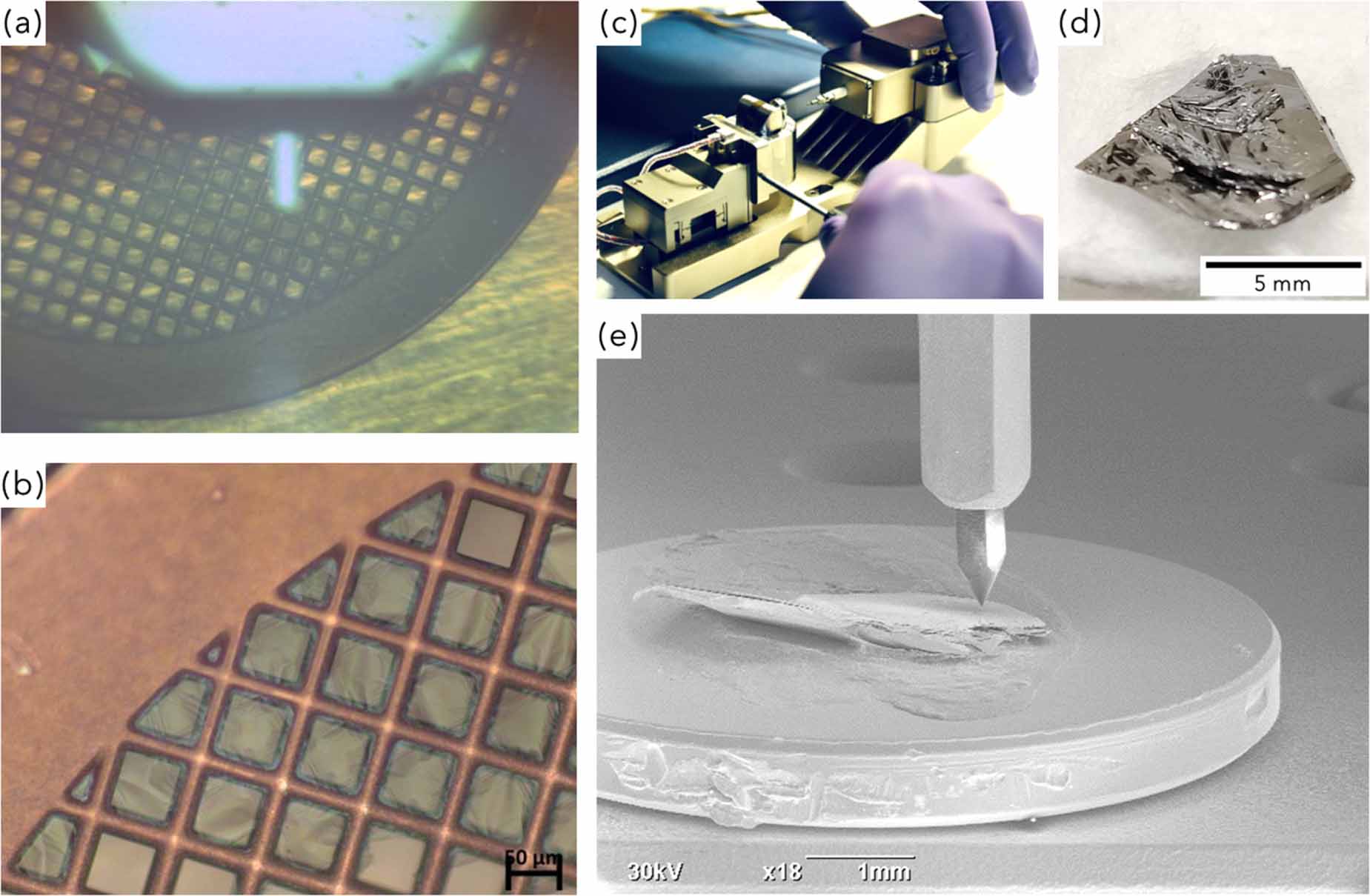 Frictional resistance and delamination mechanisms in 2D tungsten ...