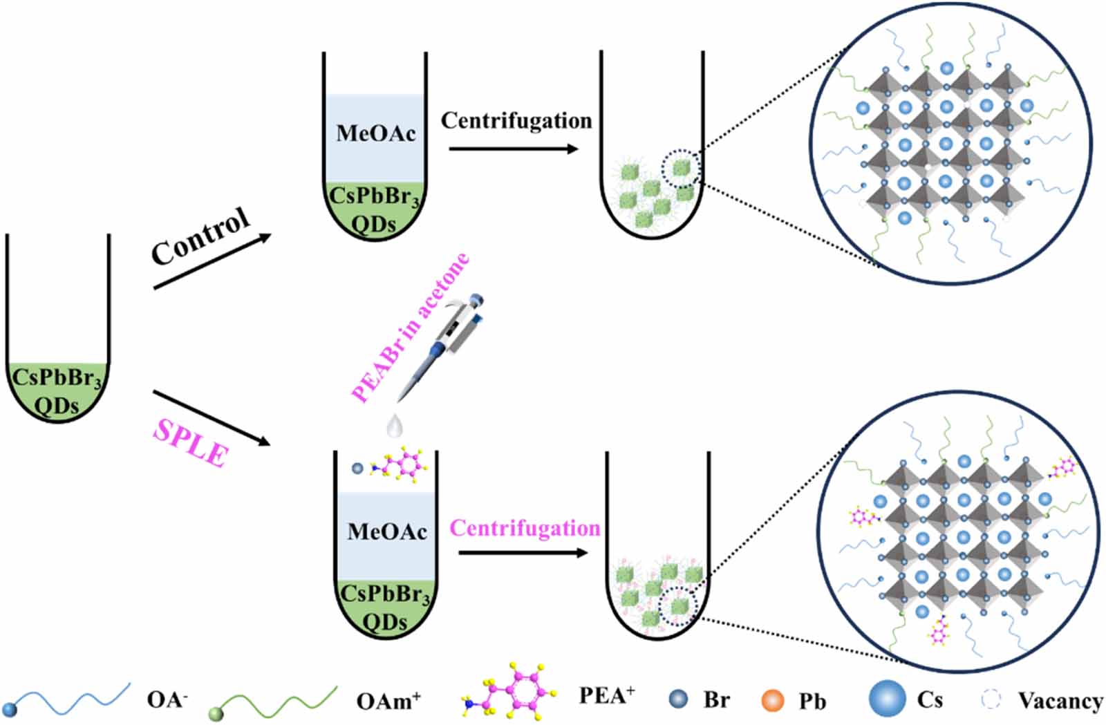 Phenylethylammonium bromide-assisted solution-phase ligand exchange in ...
