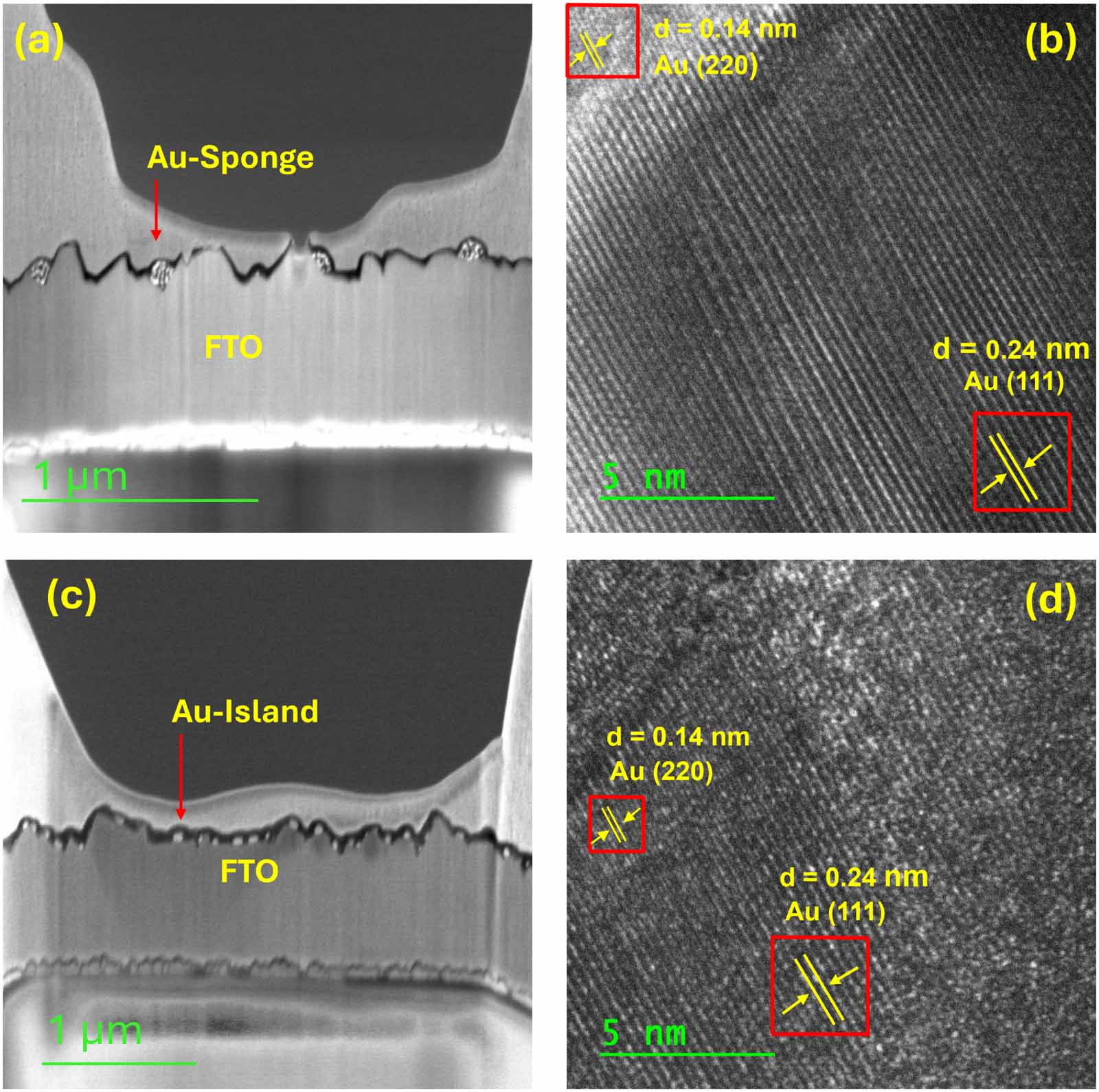 Sponge-shaped Au nanoparticles: a stand-alone metallic photocatalyst ...