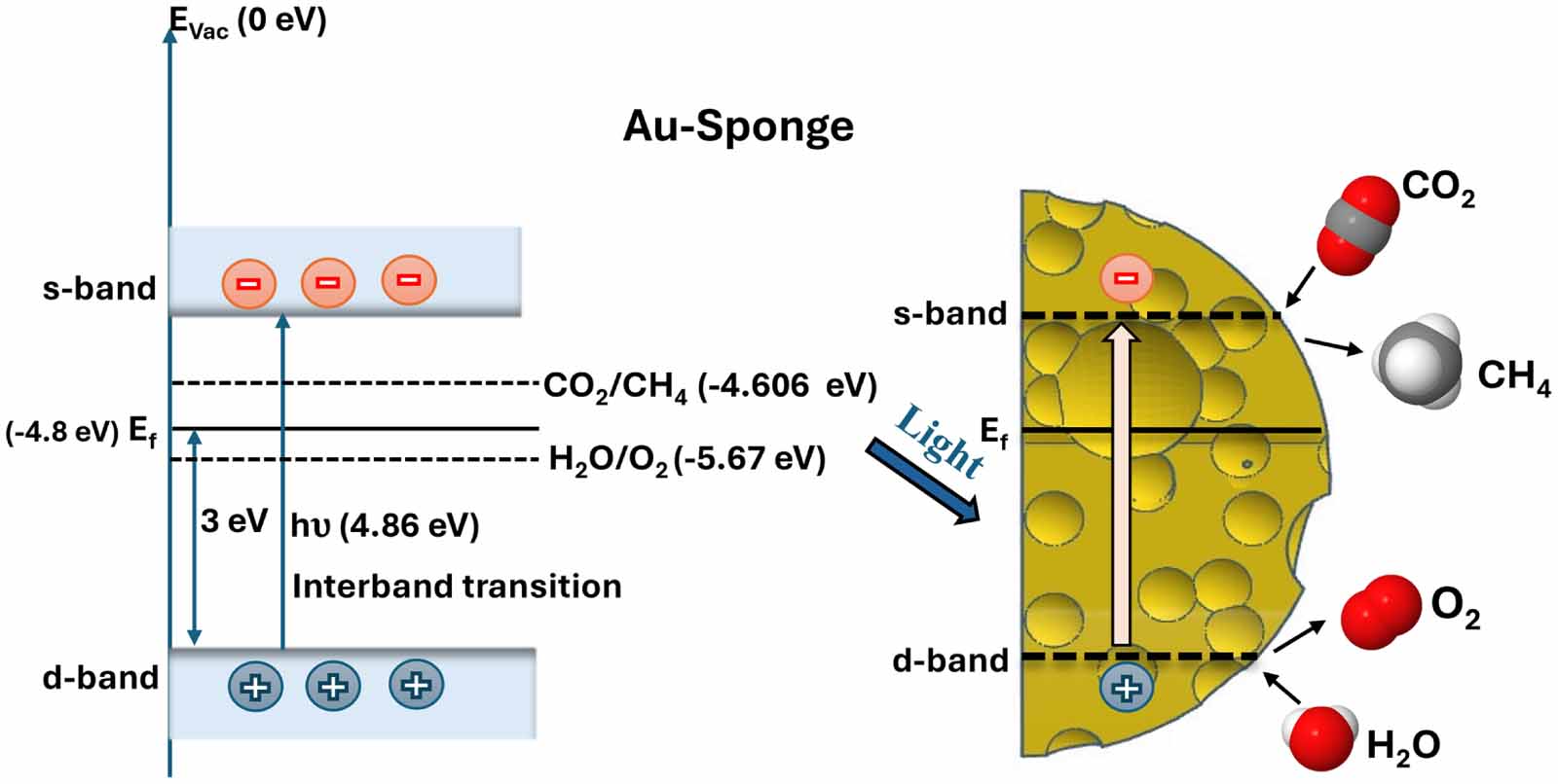 Sponge-shaped Au nanoparticles: a stand-alone metallic photocatalyst ...