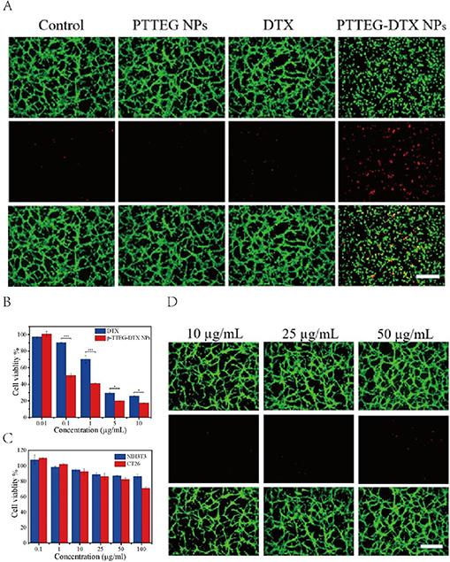 pH-sensitive and redox-responsive poly(tetraethylene glycol ...
