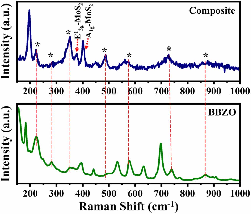 Facile synthesis of Bi2ZnB2O7-MoS2 nanocomposite for photodetector and ...