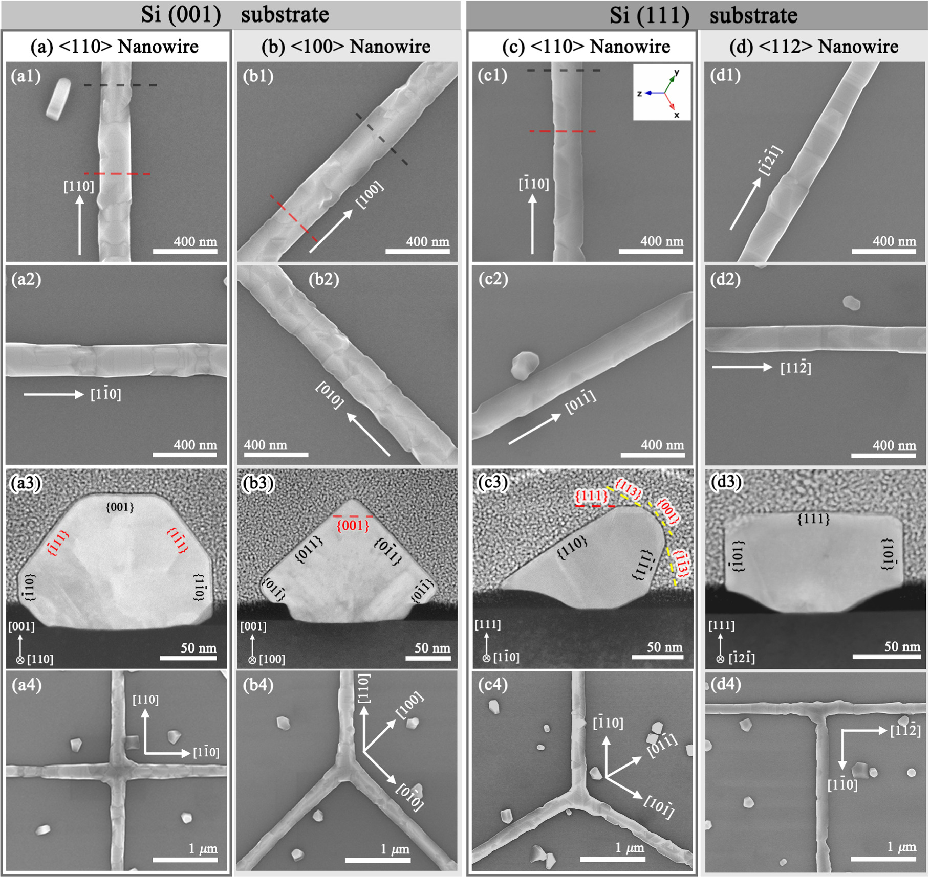 Selective area growth of in-plane InAs nanowires and nanowire networks ...