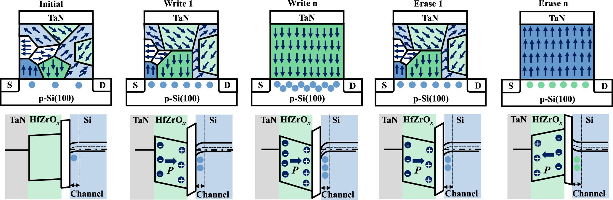 Impact of multi-domain effect on the effective carrier mobility of ...