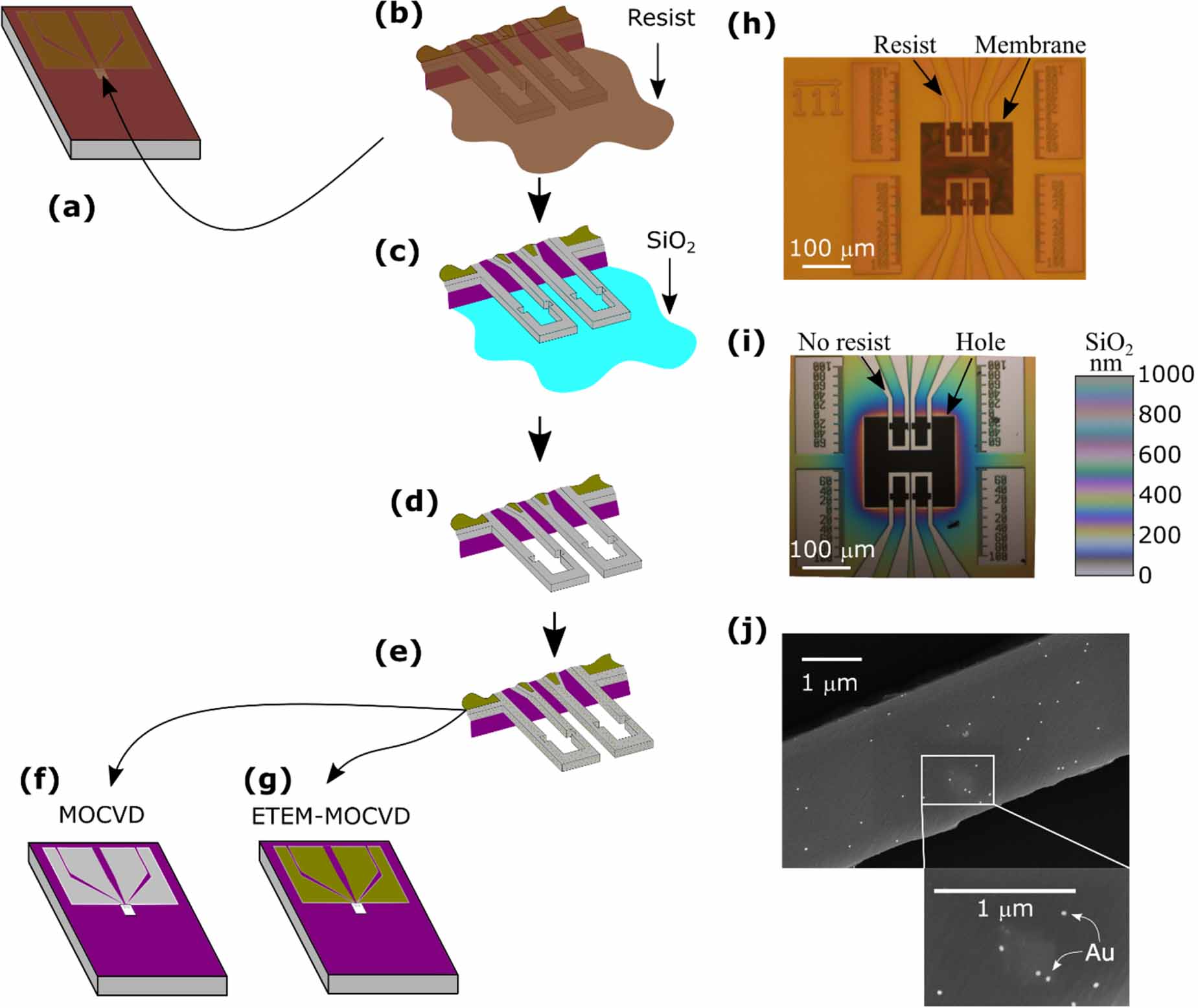 Direct observations of nucleation and early-stage growth of Au ...