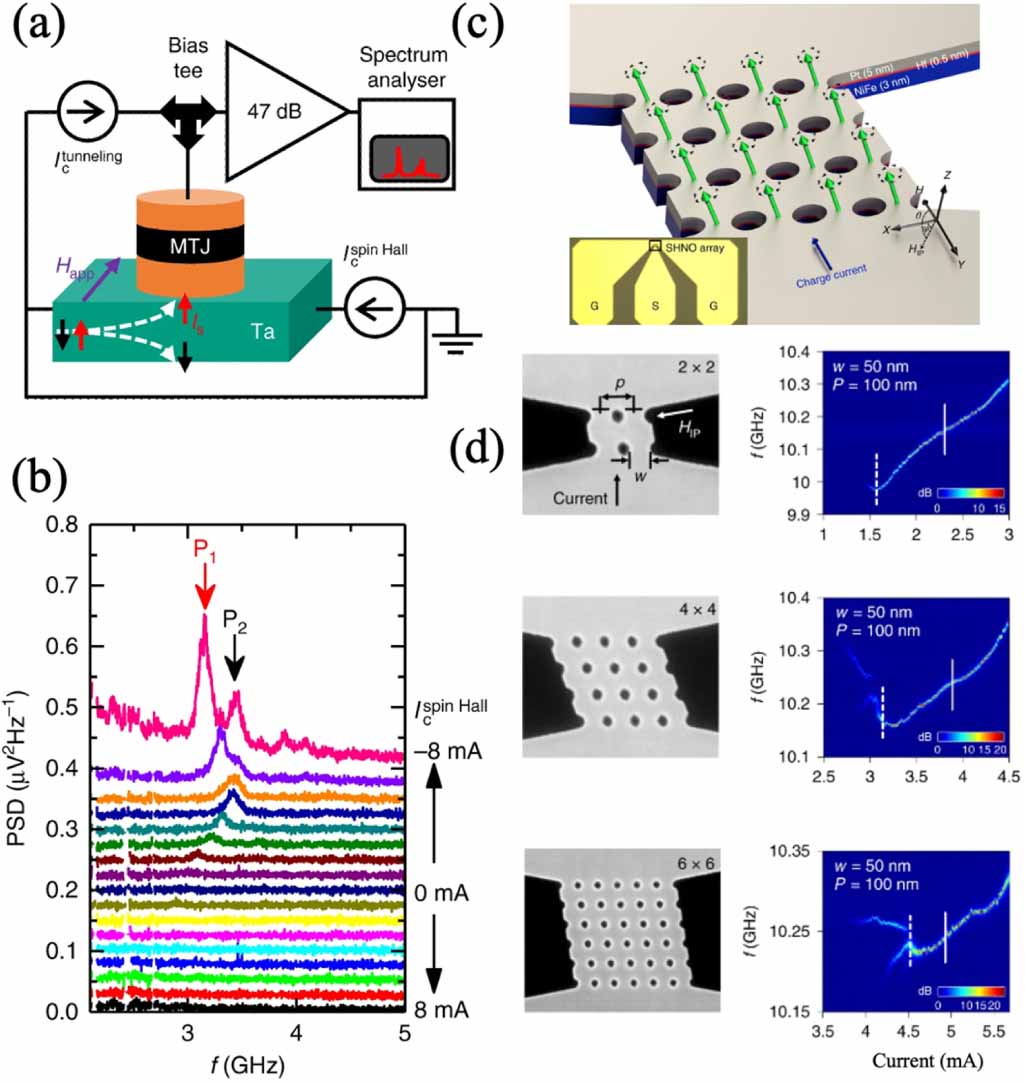 Perspective: magnetic quantum sensors for biomedical applications ...
