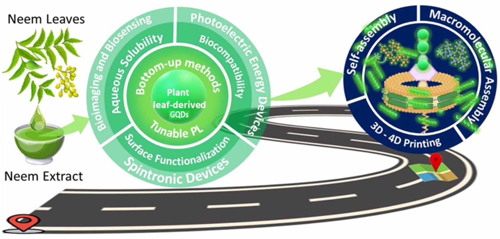 Advances in spin properties of plant leaf-derived graphene quantum dots ...
