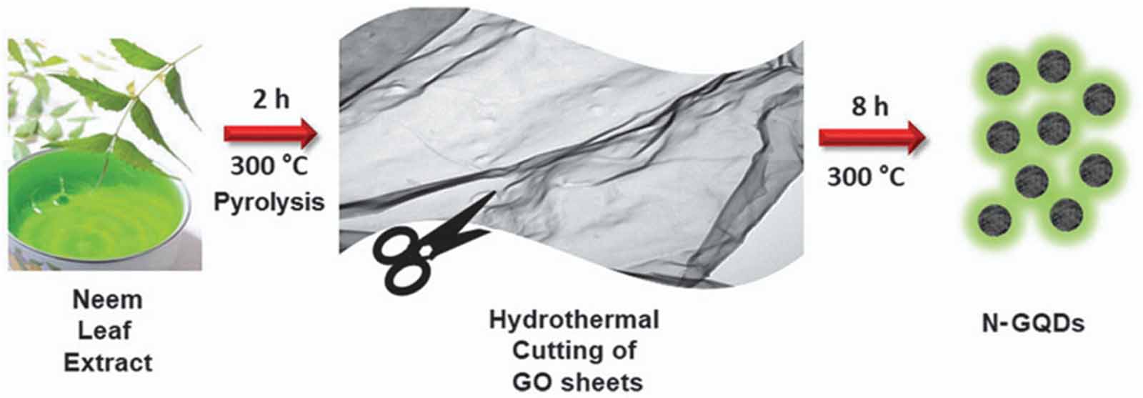 Advances in spin properties of plant leaf-derived graphene quantum dots ...