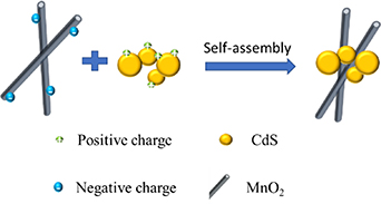 Boosted photocatalytic CO2 reduction through interface engineering by ...
