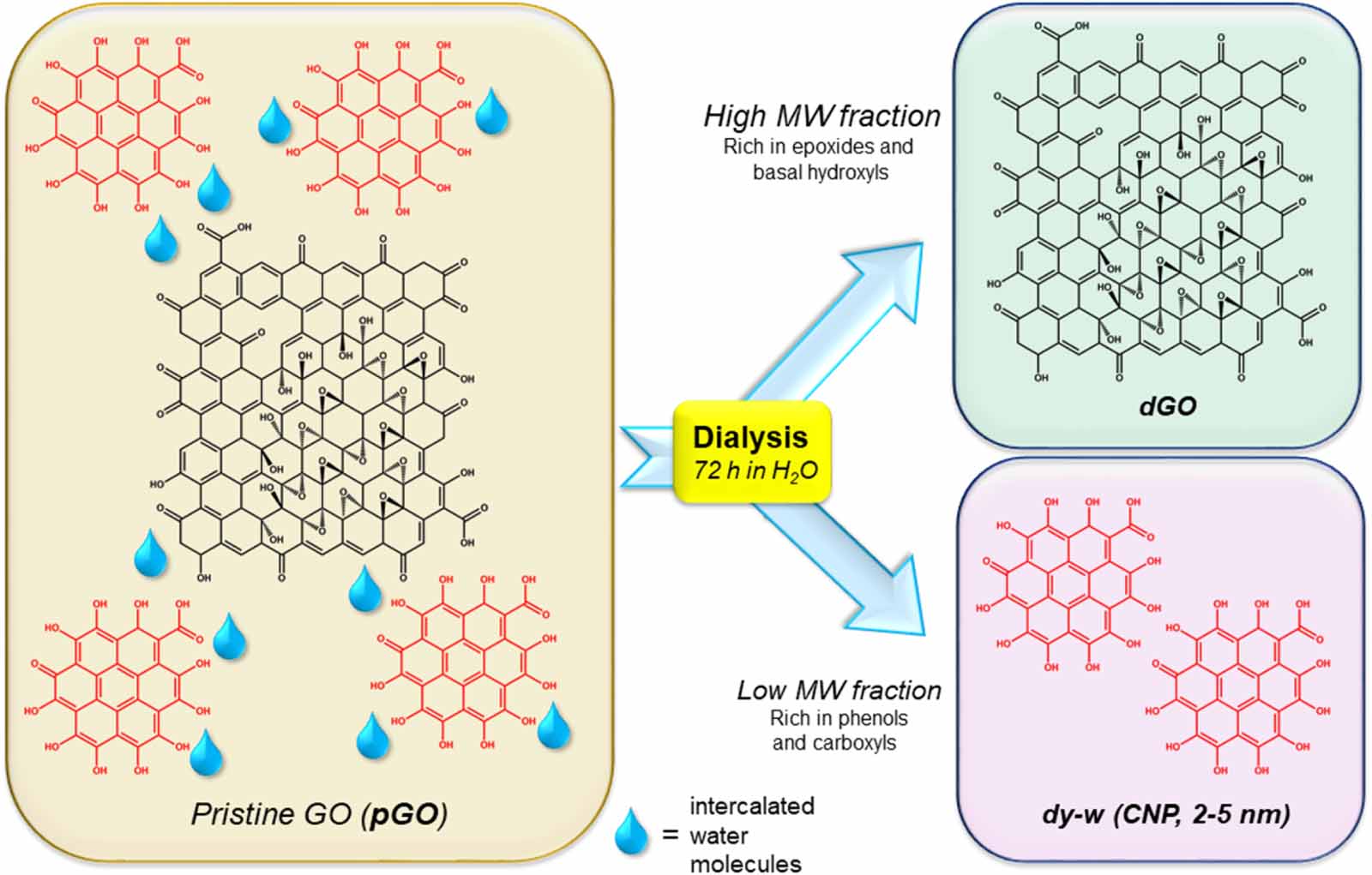 Isolation by dialysis and characterization of luminescent oxidized ...