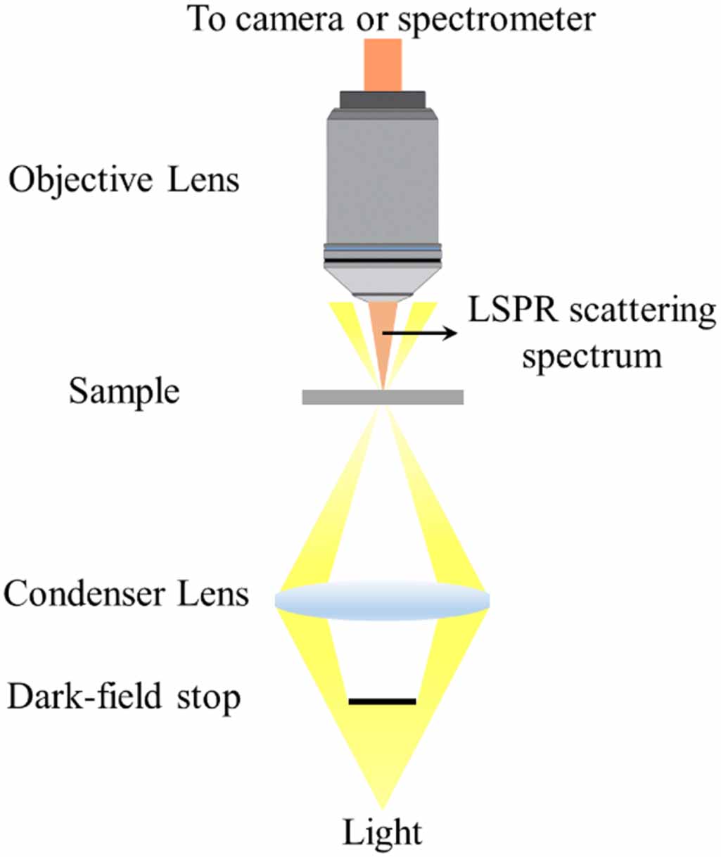 Recent advances in localized surface plasmon resonance (LSPR) sensing ...