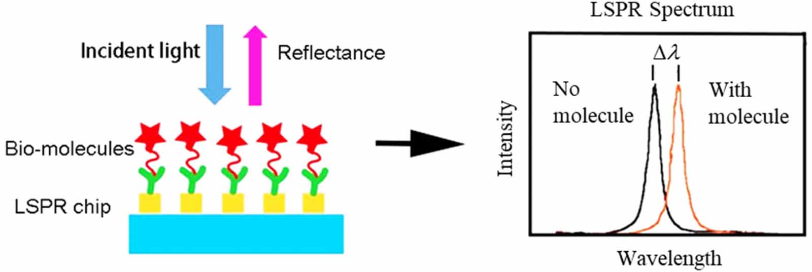 Recent advances in localized surface plasmon resonance (LSPR) sensing ...