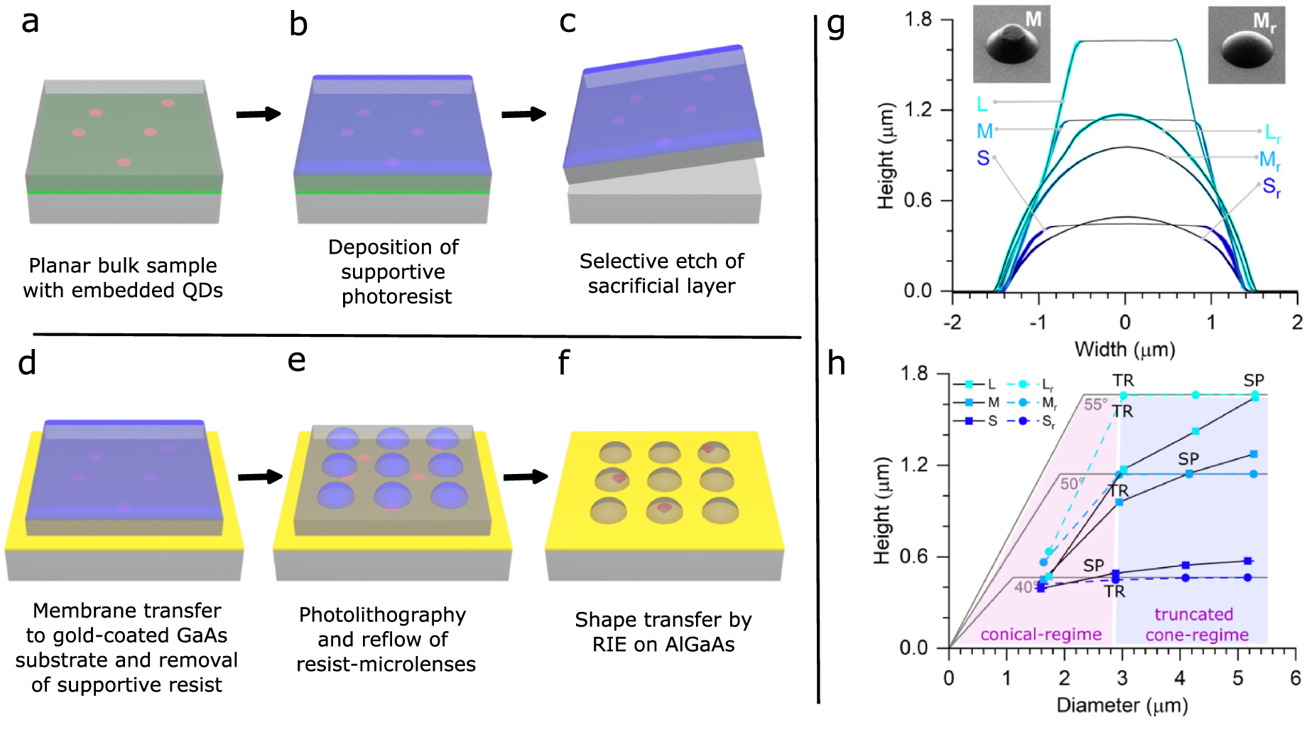 Bright quantum dot light sources using monolithic microlenses on gold ...