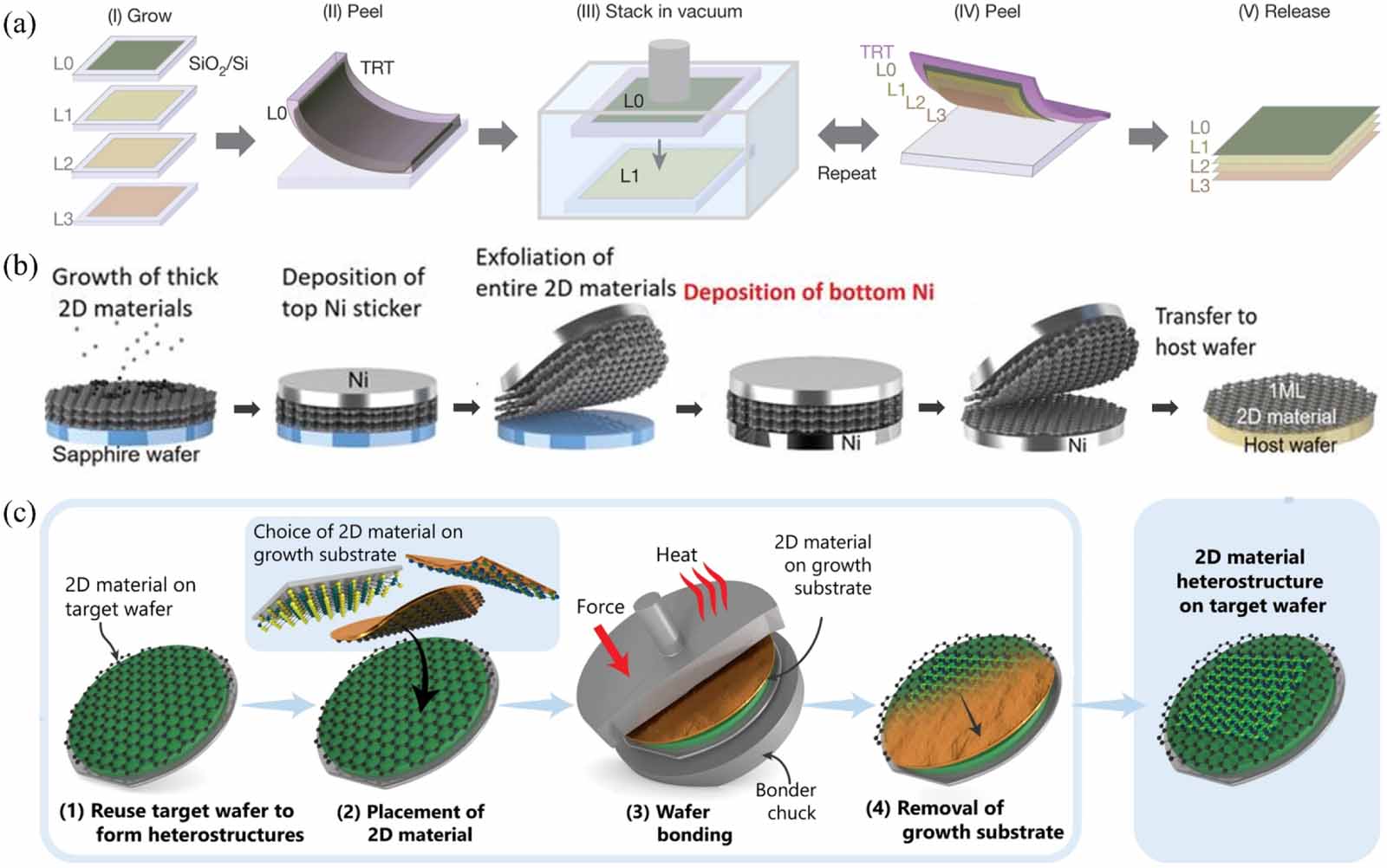 Wafer-scale synthesis of transition metal dichalcogenides and van der ...