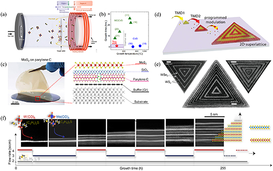 Wafer-scale synthesis of transition metal dichalcogenides and van der ...