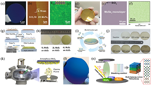 Wafer-scale synthesis of transition metal dichalcogenides and van der ...