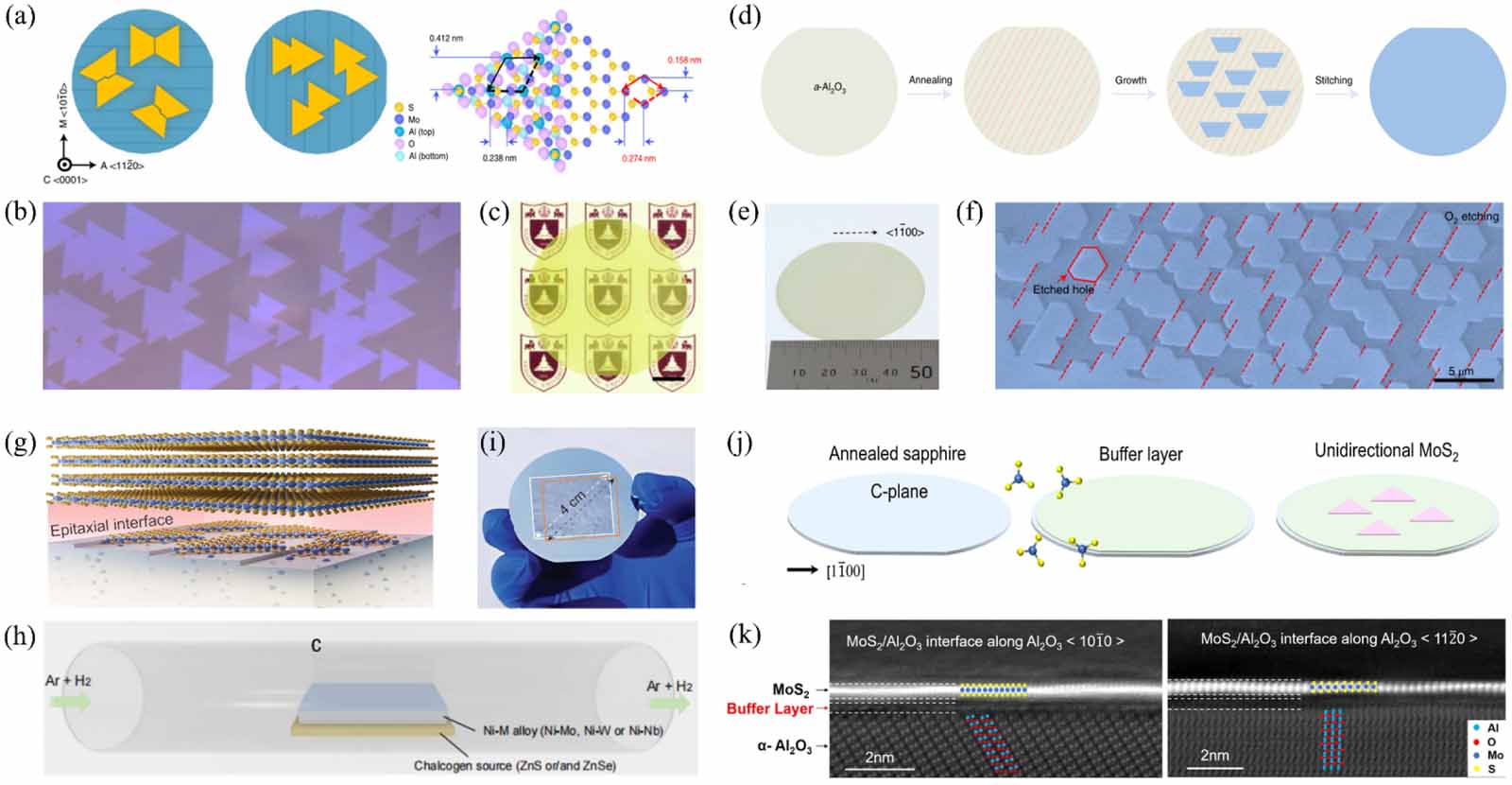 Wafer-scale synthesis of transition metal dichalcogenides and van der ...