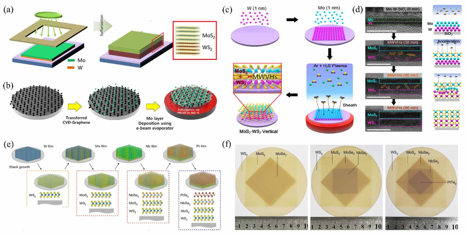 Wafer-scale synthesis of transition metal dichalcogenides and van der ...