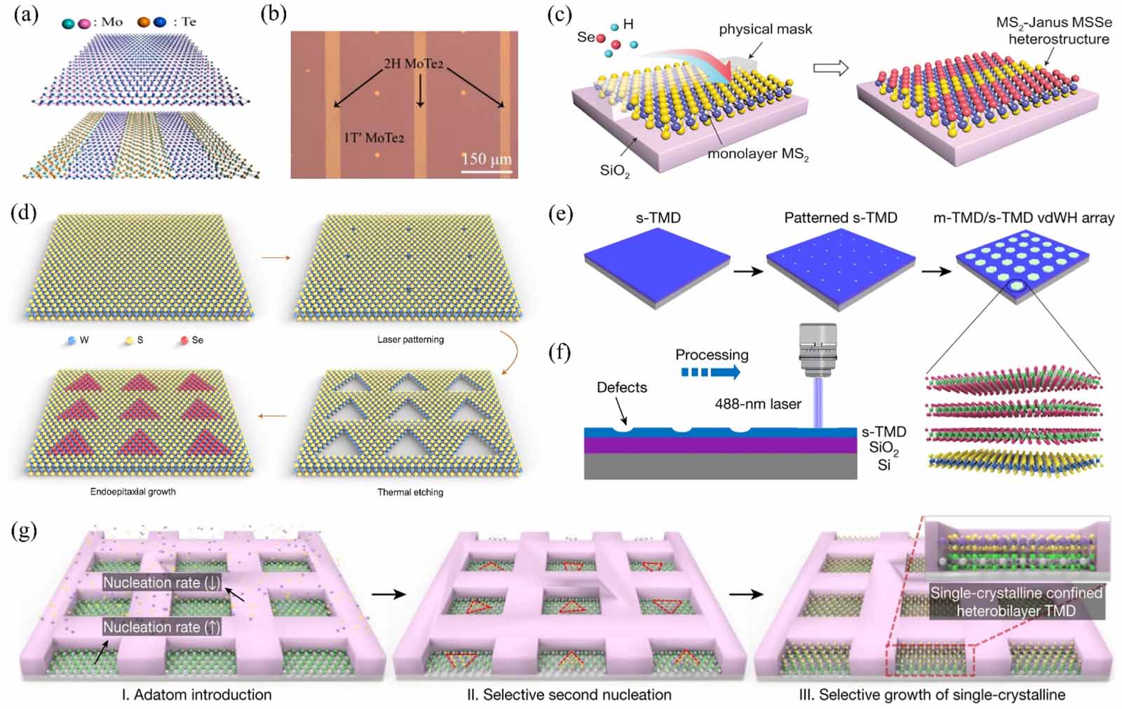 Wafer-scale synthesis of transition metal dichalcogenides and van der ...