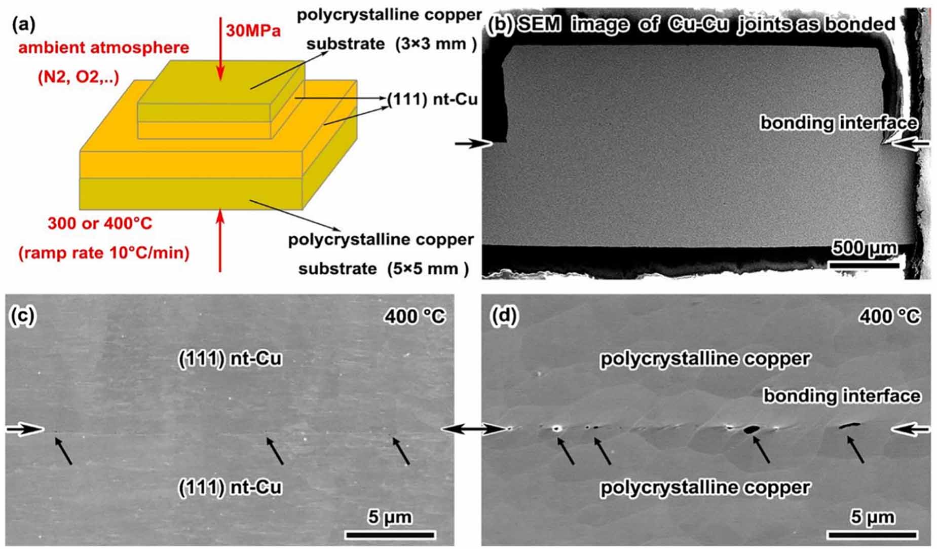 Review of Cu–Cu direct bonding technology in advanced packaging ...