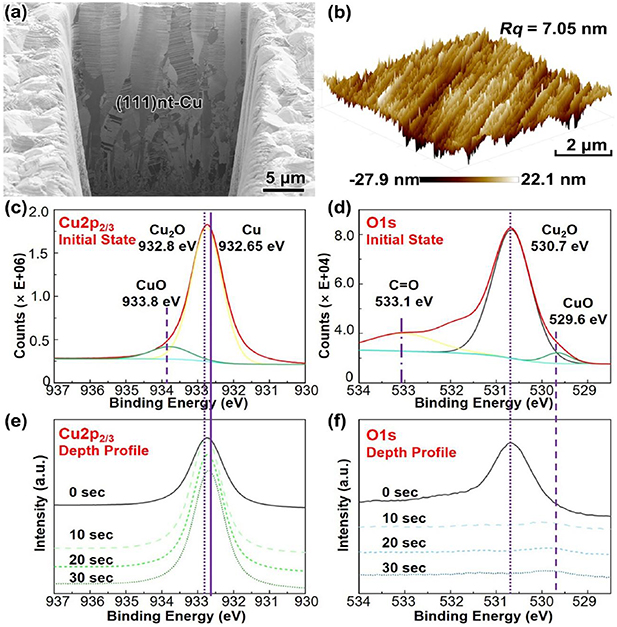 Review of Cu–Cu direct bonding technology in advanced packaging ...