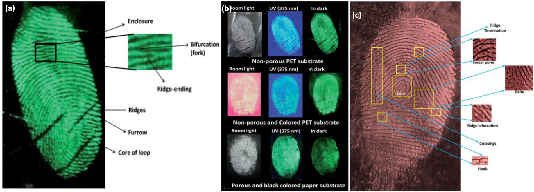 Luminescent nanomaterials for developing high-contrast latent ...