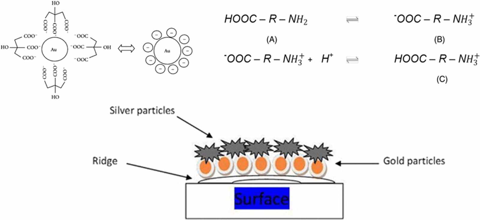 Luminescent nanomaterials for developing high-contrast latent ...