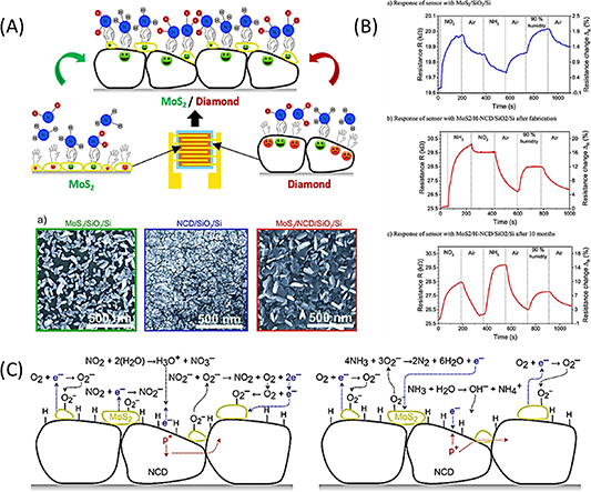 Artificial diamond as a next generation material for gas sensors ...