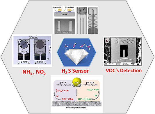 Artificial diamond as a next generation material for gas sensors ...