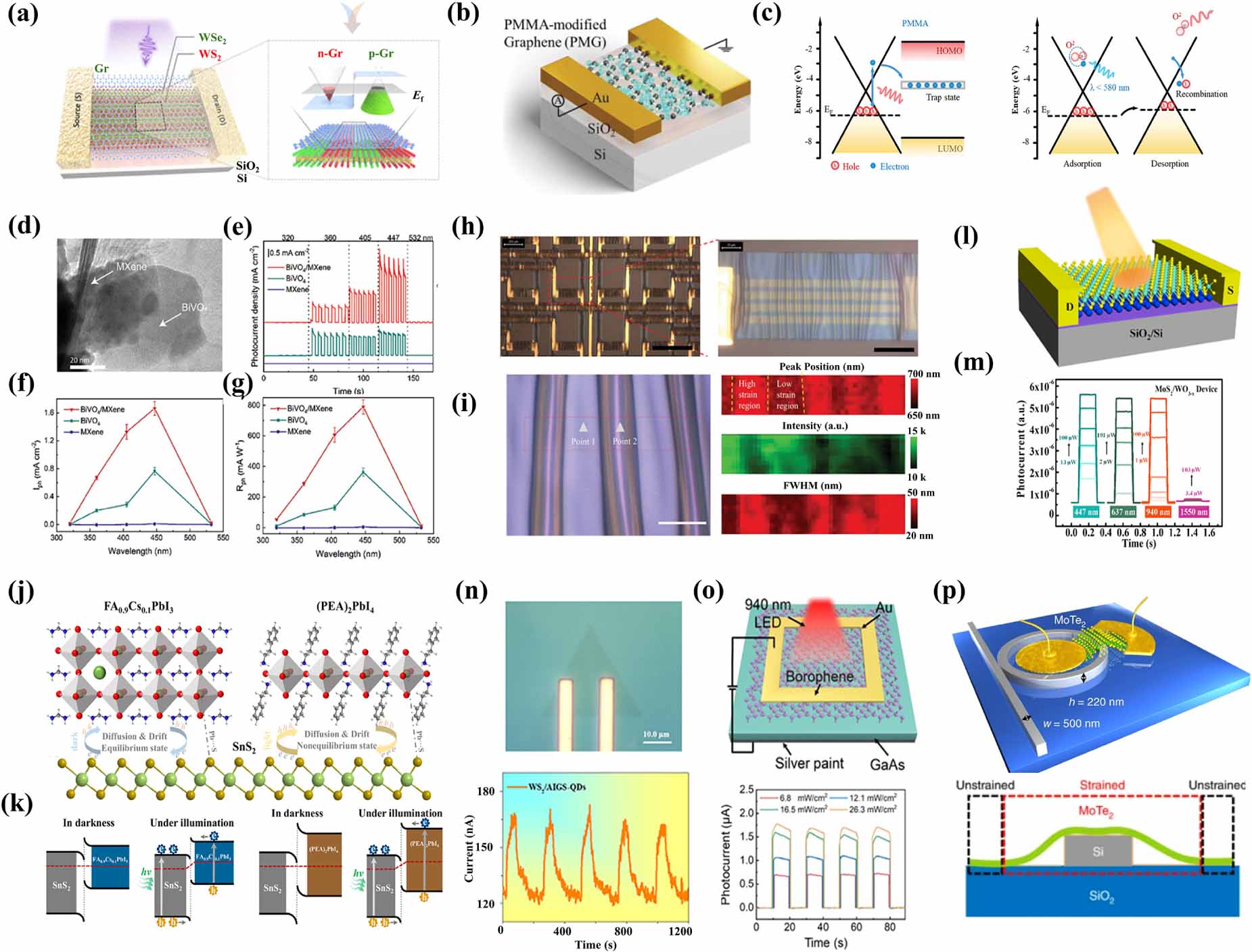 2D materials in functional optoelectronics: recent advances and future ...