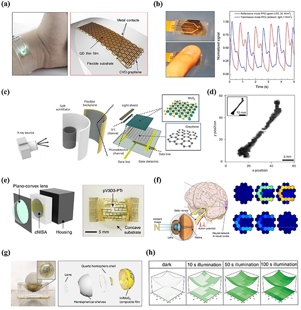 2D materials in functional optoelectronics: recent advances and future prospects - IOPscience