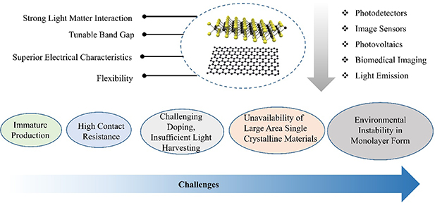 2D materials in functional optoelectronics: recent advances and future prospects - IOPscience