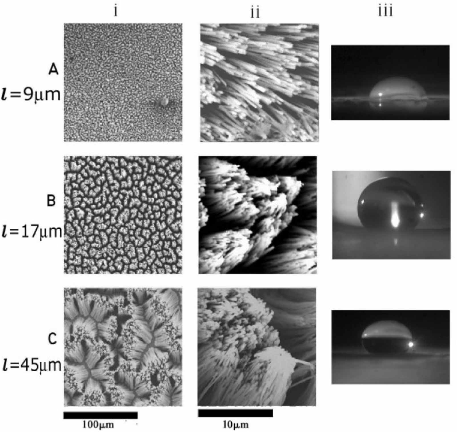 Metallic superhydrophobic nanostructures via bottom–up synthesis ...
