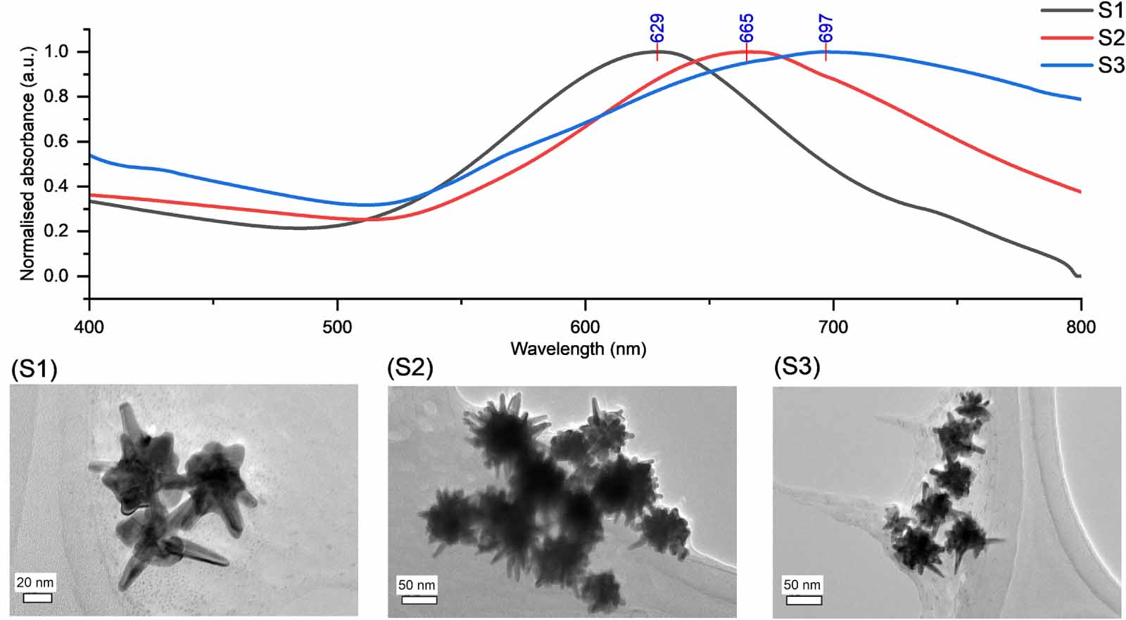 Surfactant-free gold nanostars as a colloidal substrate for the surface ...