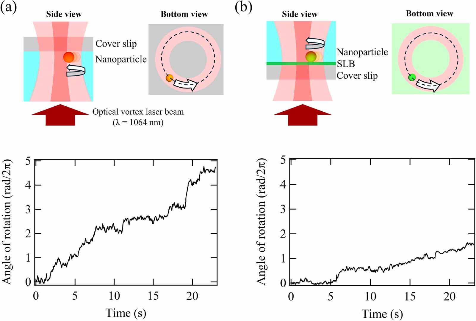Two-dimensional rotational manipulation of nanoparticles on lipid ...